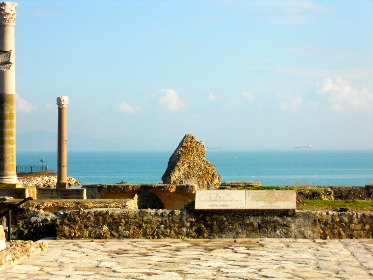 Carthage | Angel Ackerman