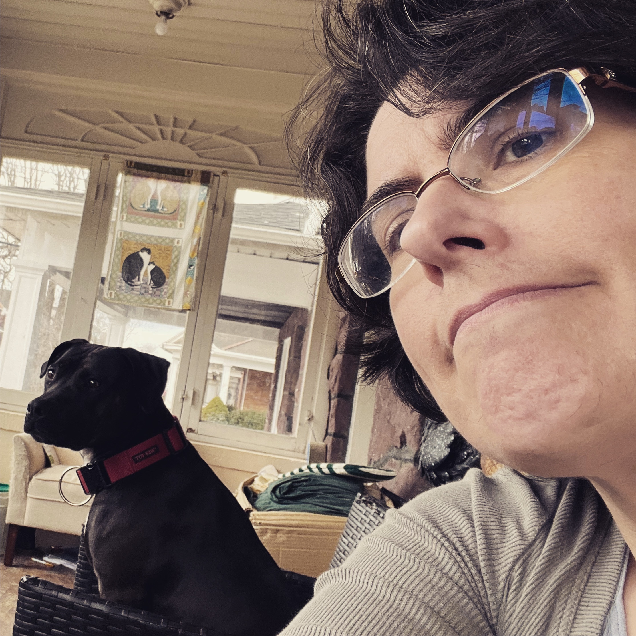 A day in the life— medical update, meal plans, sunshine, animals and ...