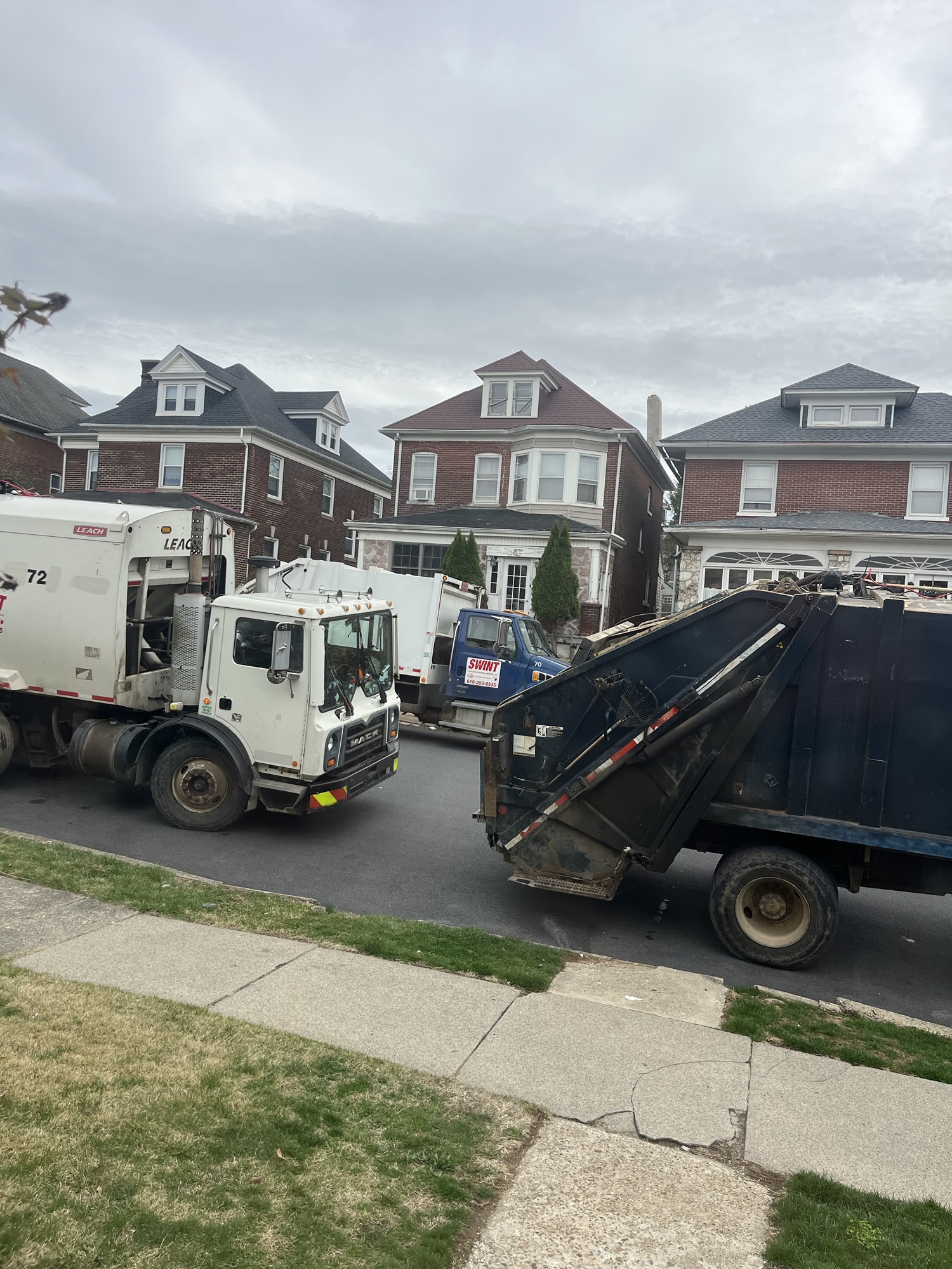 The Day the Garbage Trucks Swarmed | Angel Ackerman